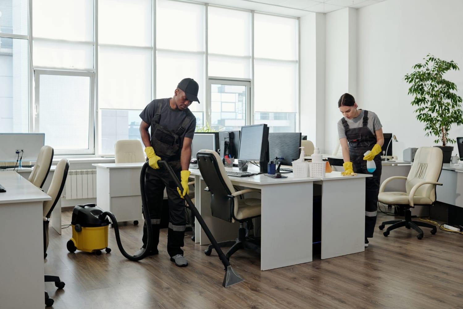 Cleanzone – Cleaning Services